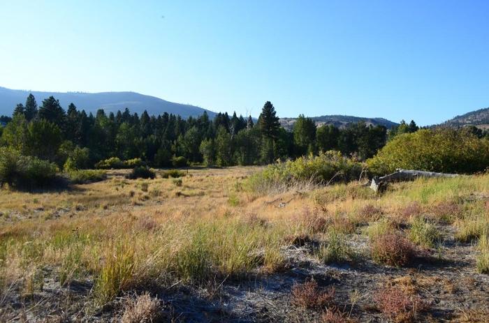 Discover Verdi, Nevada | Gateway to Sierra Nevada Beauty & History